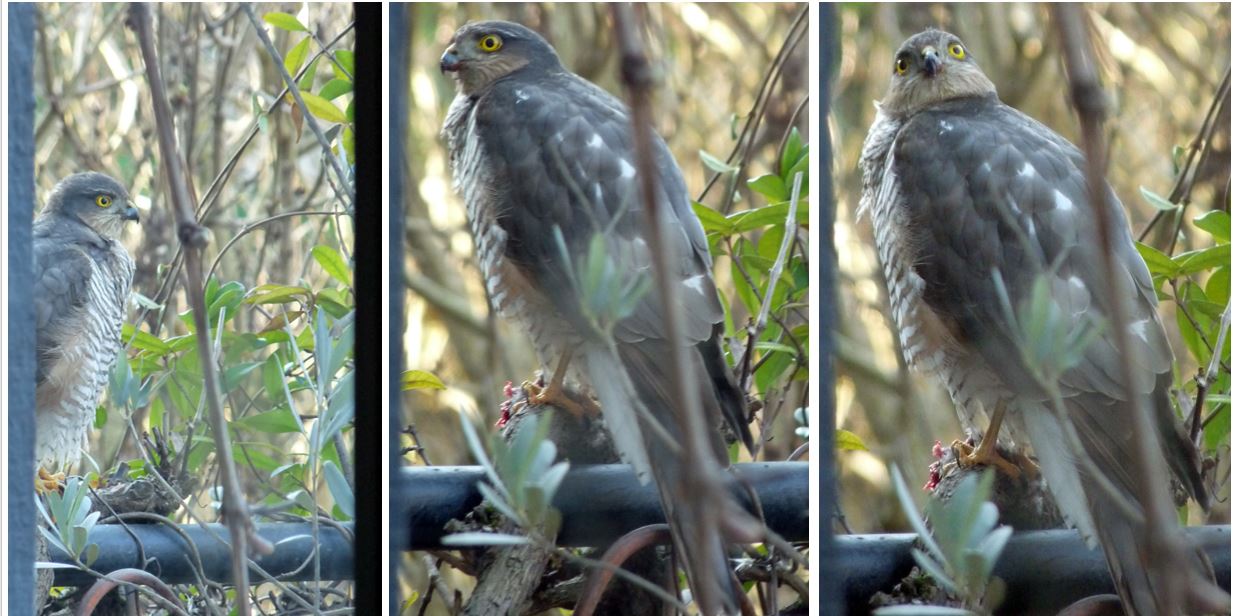 Autoroute Toulouse-Castres : une autre voie est possible – Frugalité heureuse & créative